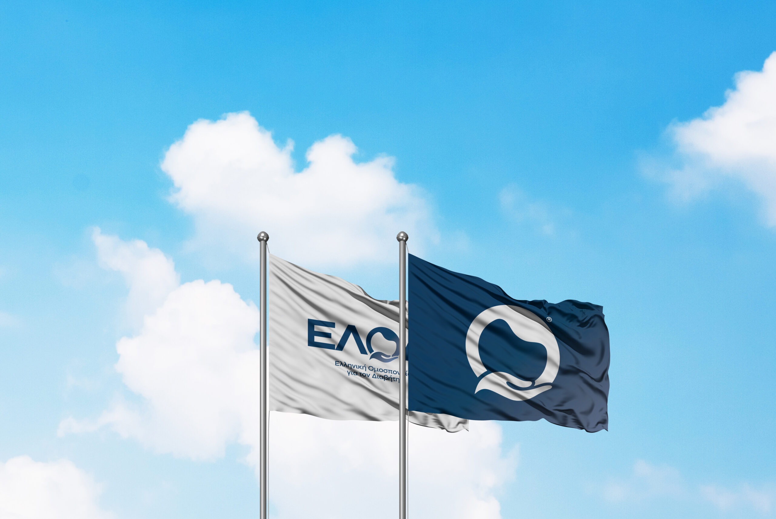 ΔΙΟΙΚΗΤΙΚΟ ΣΥΜΒΟΥΛΙΟ ΕΛΟΔΙ - ΕΛΟΔΙ